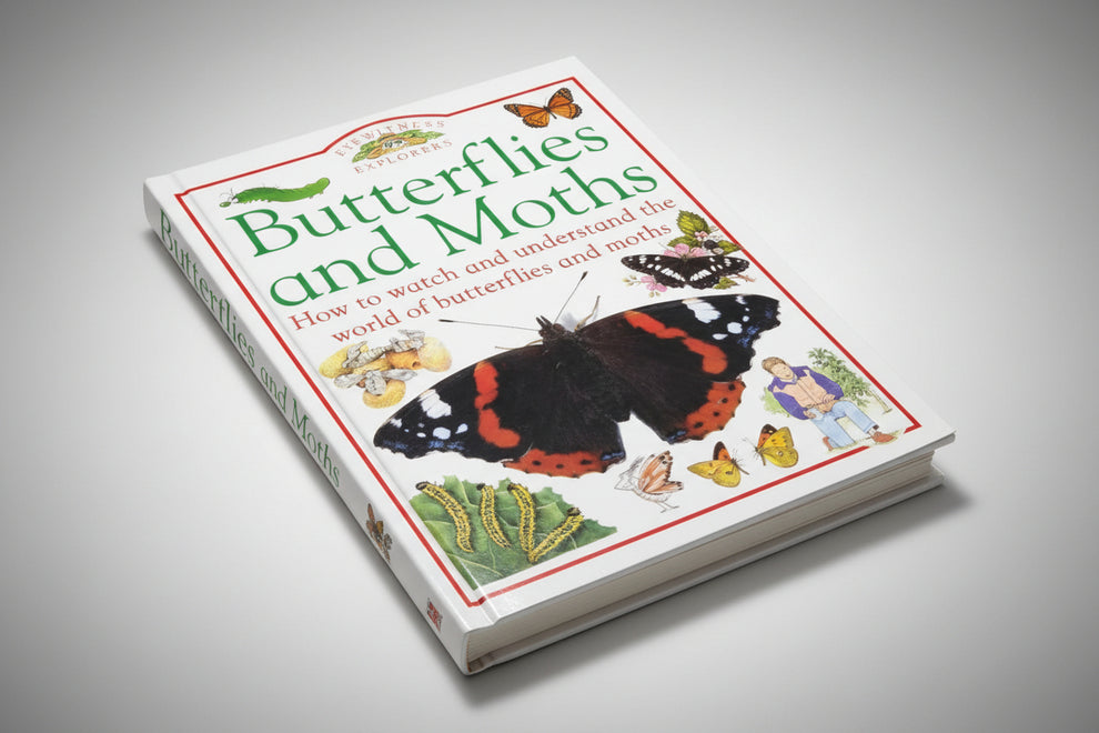 Butterflies and Moths (Eyewitness Explorers) – The Indian Book Store