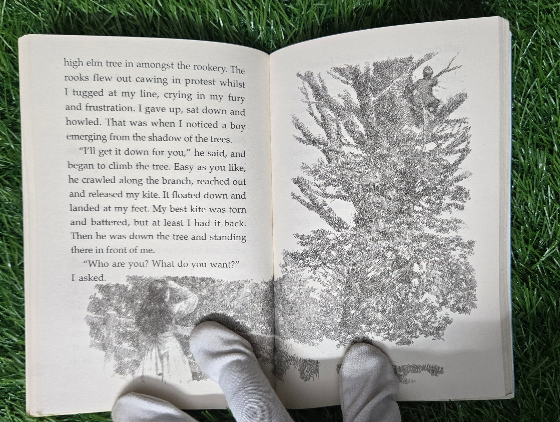 The Butterfly Lion By Michael Morpurgo – The Indian Book Store