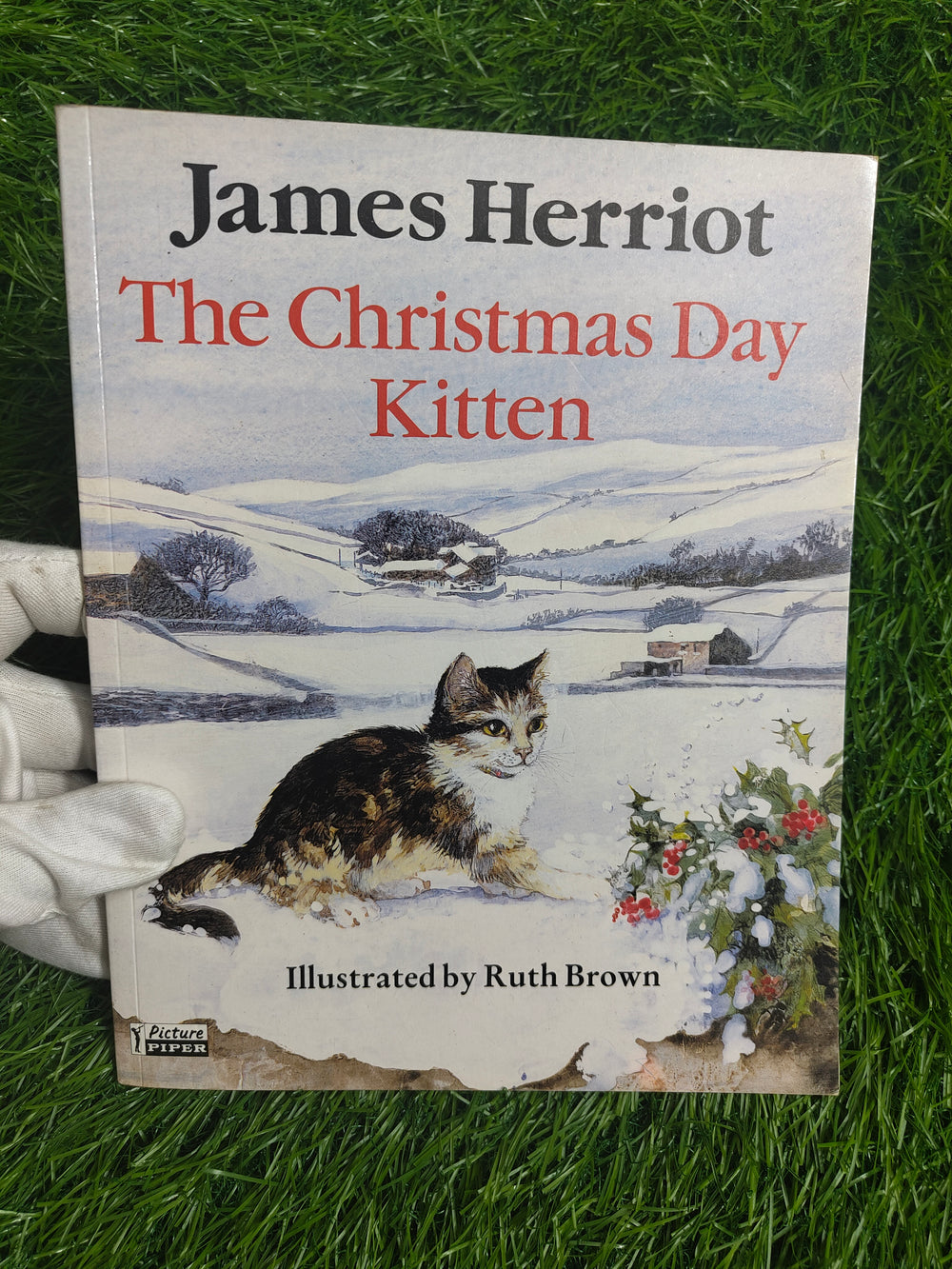 Collections – The Indian Book Store