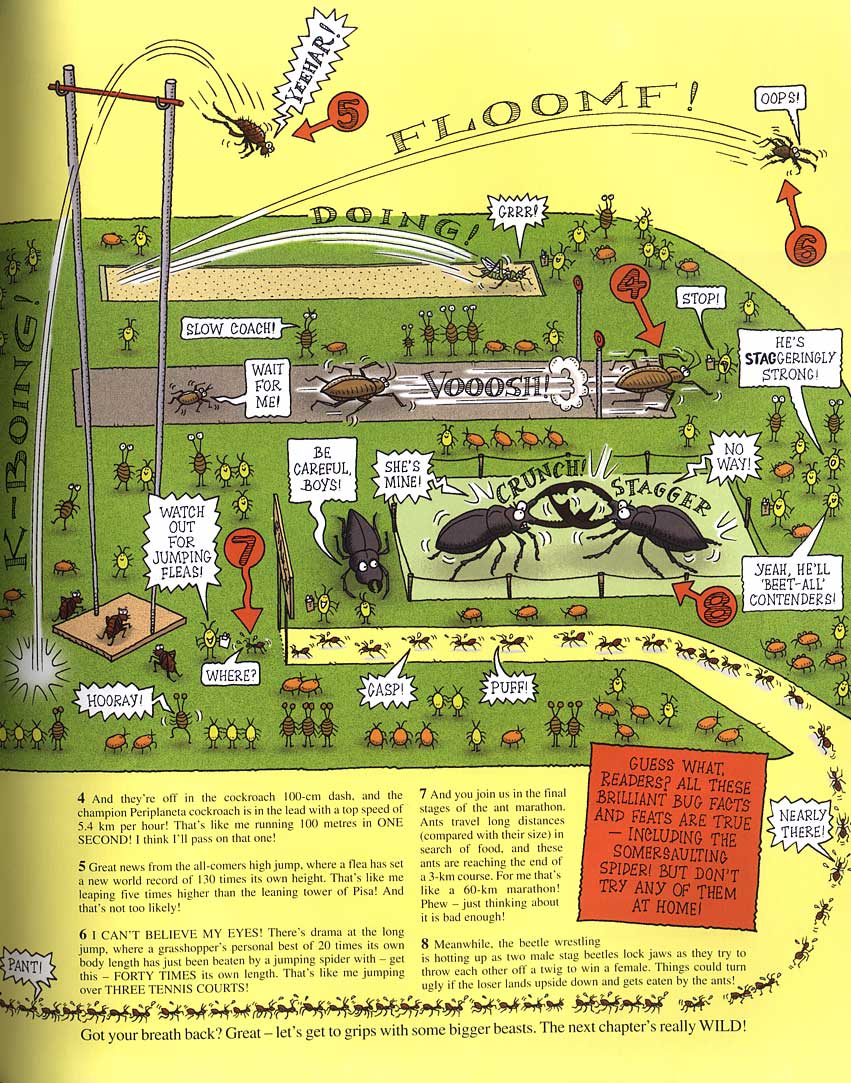 The Stunning Science of Everything (Horrible Science) By Nick Arnold ...